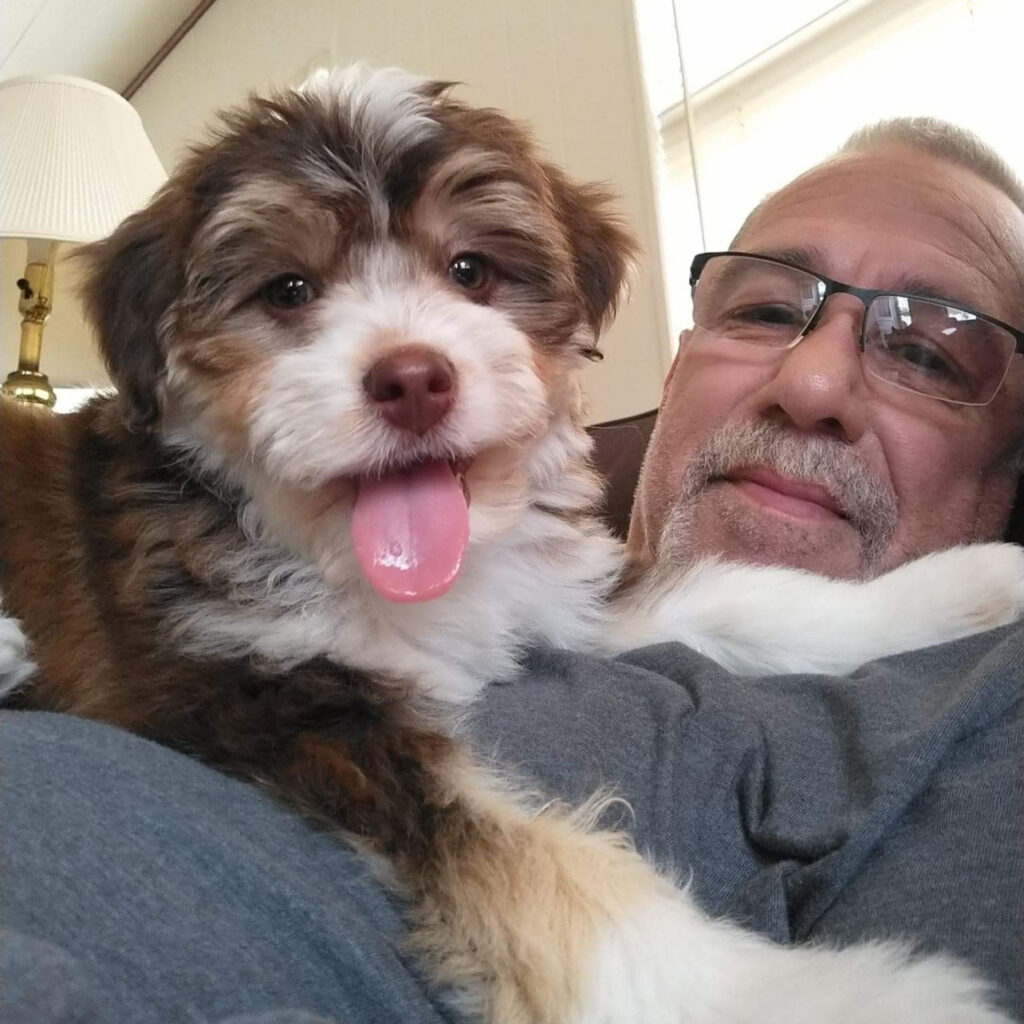 Best Yorkshire Terrier Puppies for sale in Mount Pleasant, WI